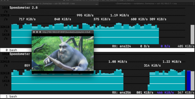 Deliver And Receive Srt Bonded Streams With Nimble Streamer Softvelum Efficient Tools To