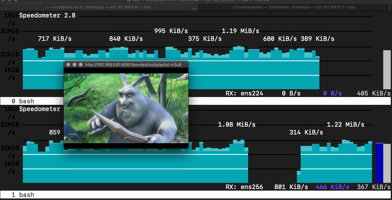 Deliver and receive SRT bonded streams with Nimble Streamer – Softvelum ...